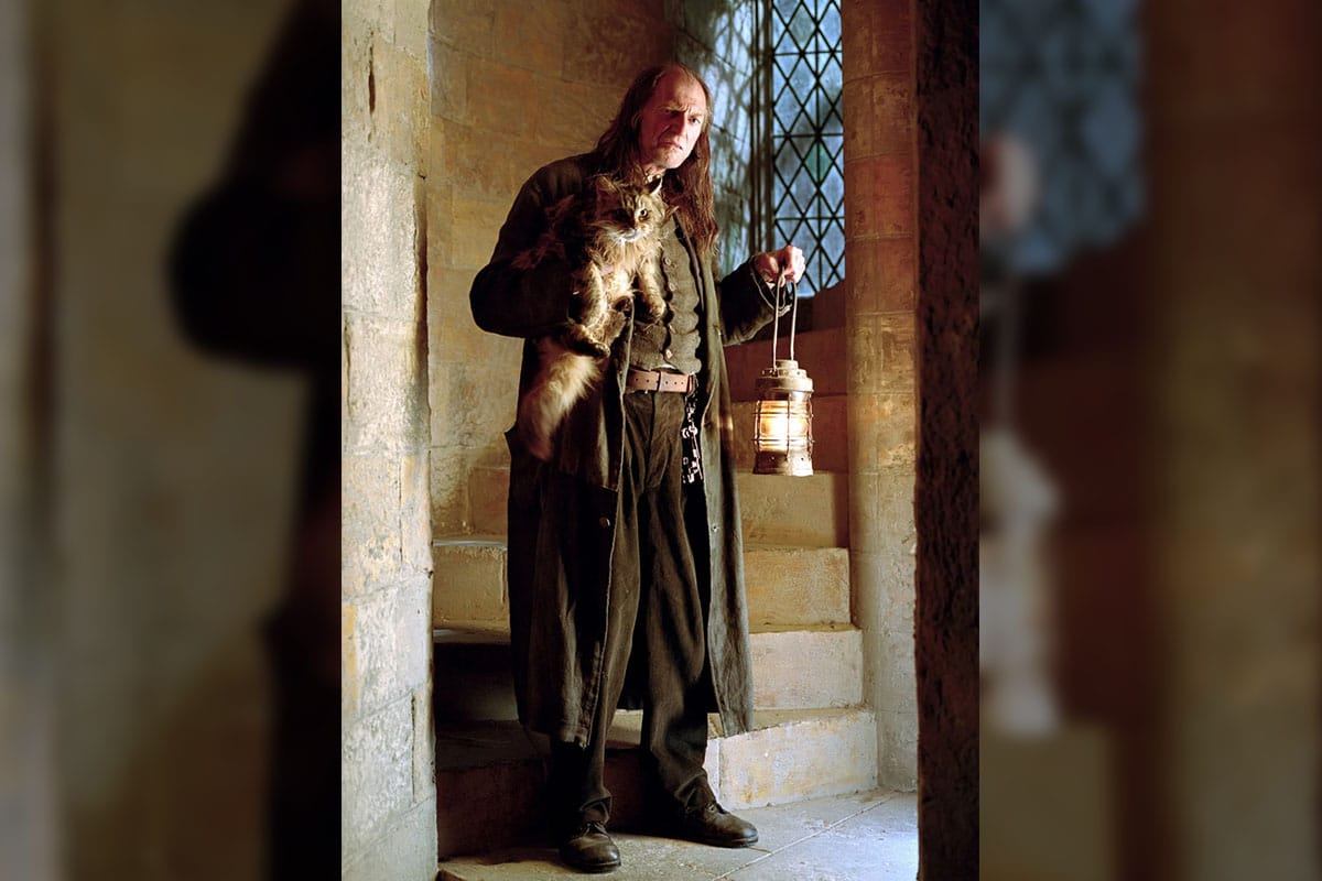 Análise | Harry Potter e a Ordem da Fênix • Proddigital POP