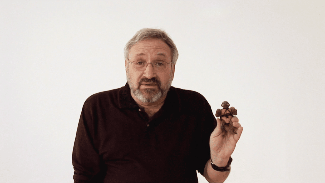 O que é o Sindicato de Atores (SAG-AFTRA) e como ele funciona ...