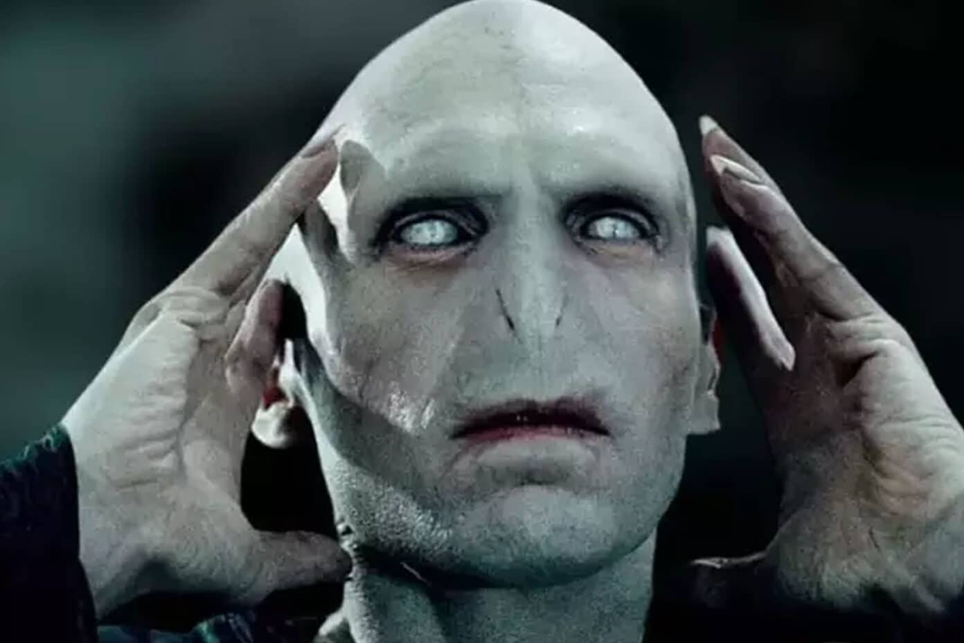 Personagem | Lord Voldemort • Proddigital POP